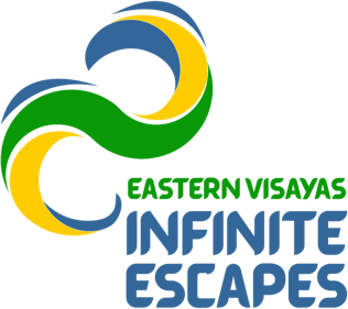 Infinite Strides Eastern Visayas · Holiday Dash for a Purpose